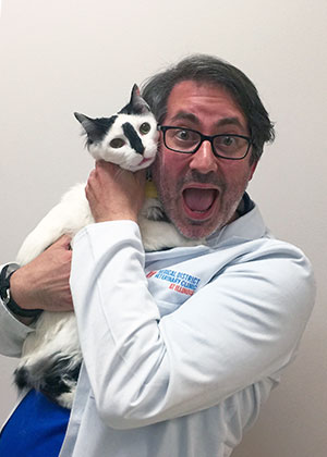 Meet Dr. Brett Grossman (and Emerson, and Crocodile, and ...